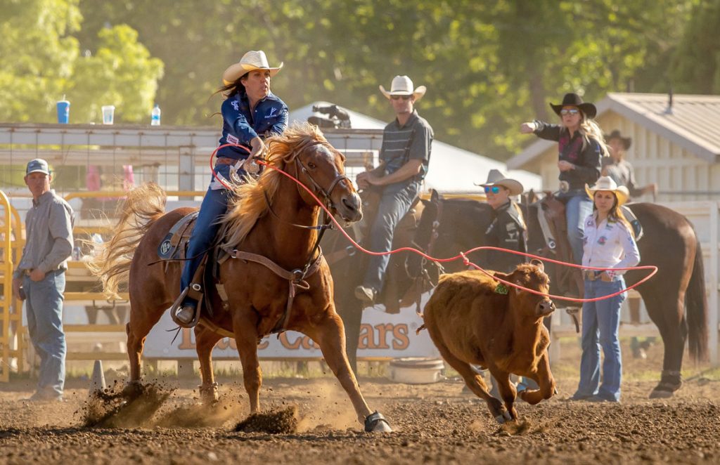 California Rodeo Salinas returns this week with new ambassador, roping ...