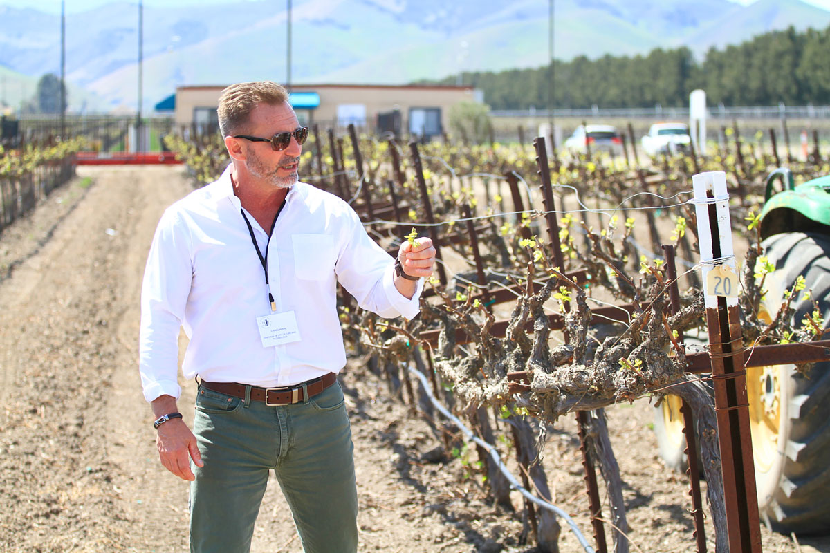 Scheid Vineyards hosts Earth Day tour at Greenfield estate | The King ...