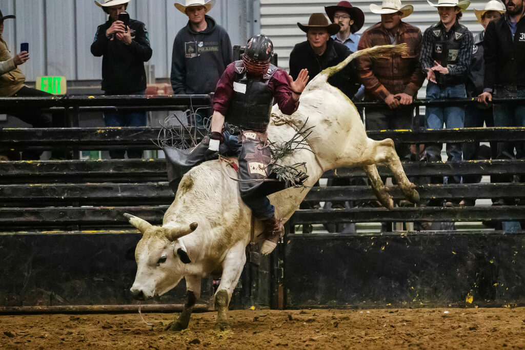 Balestreri named 2023 Miss King City Stampede | The King City Rustler ...