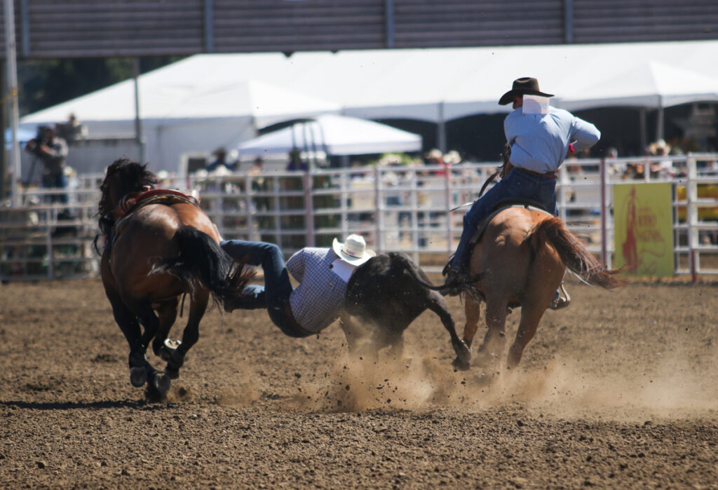 Crowds flock to 2023 California Rodeo Salinas | The King City Rustler ...