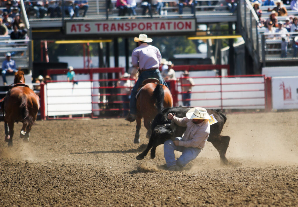 Crowds flock to 2023 California Rodeo Salinas | The King City Rustler ...
