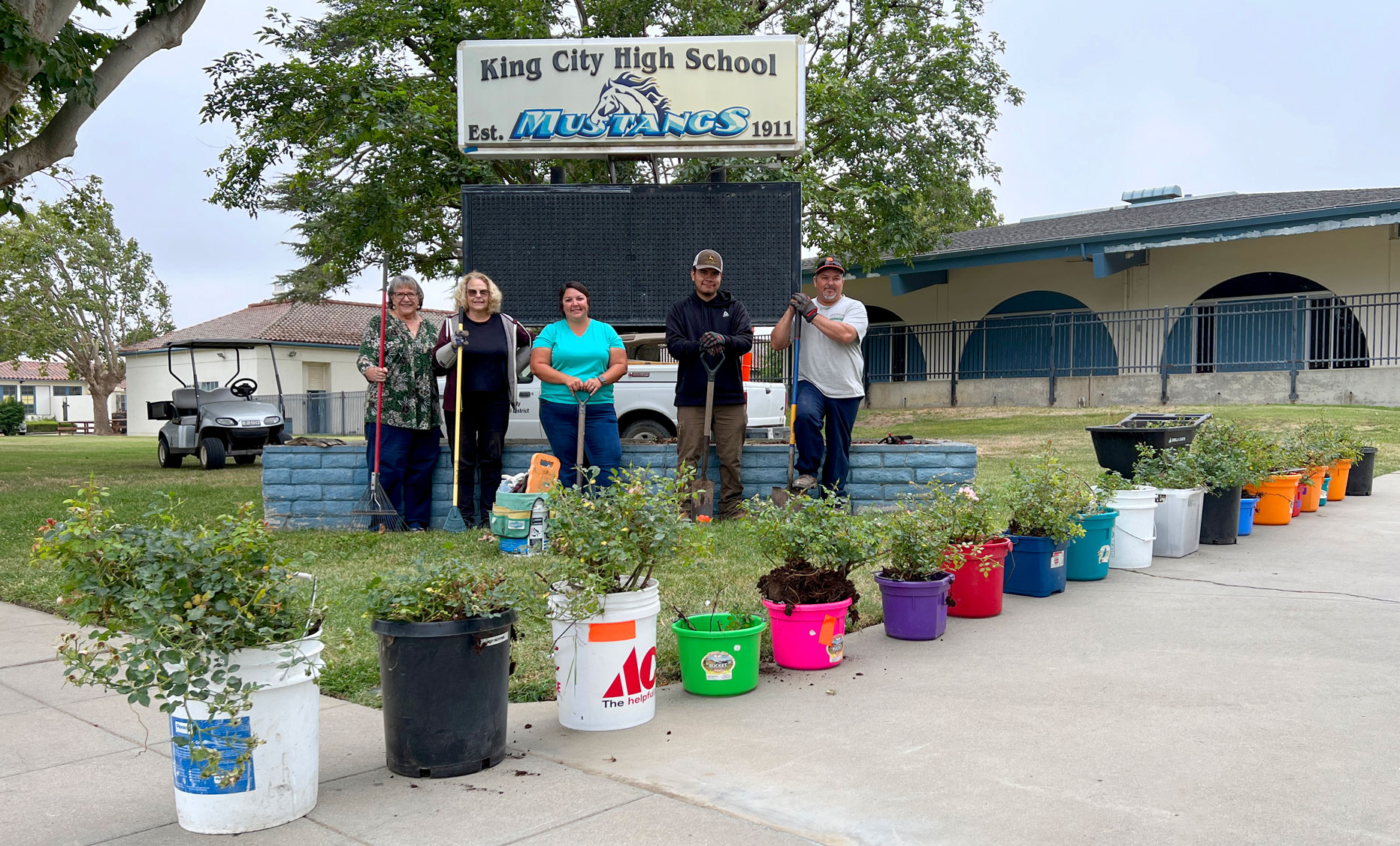 Roses transplanted to make way for new King City High School electronic ...