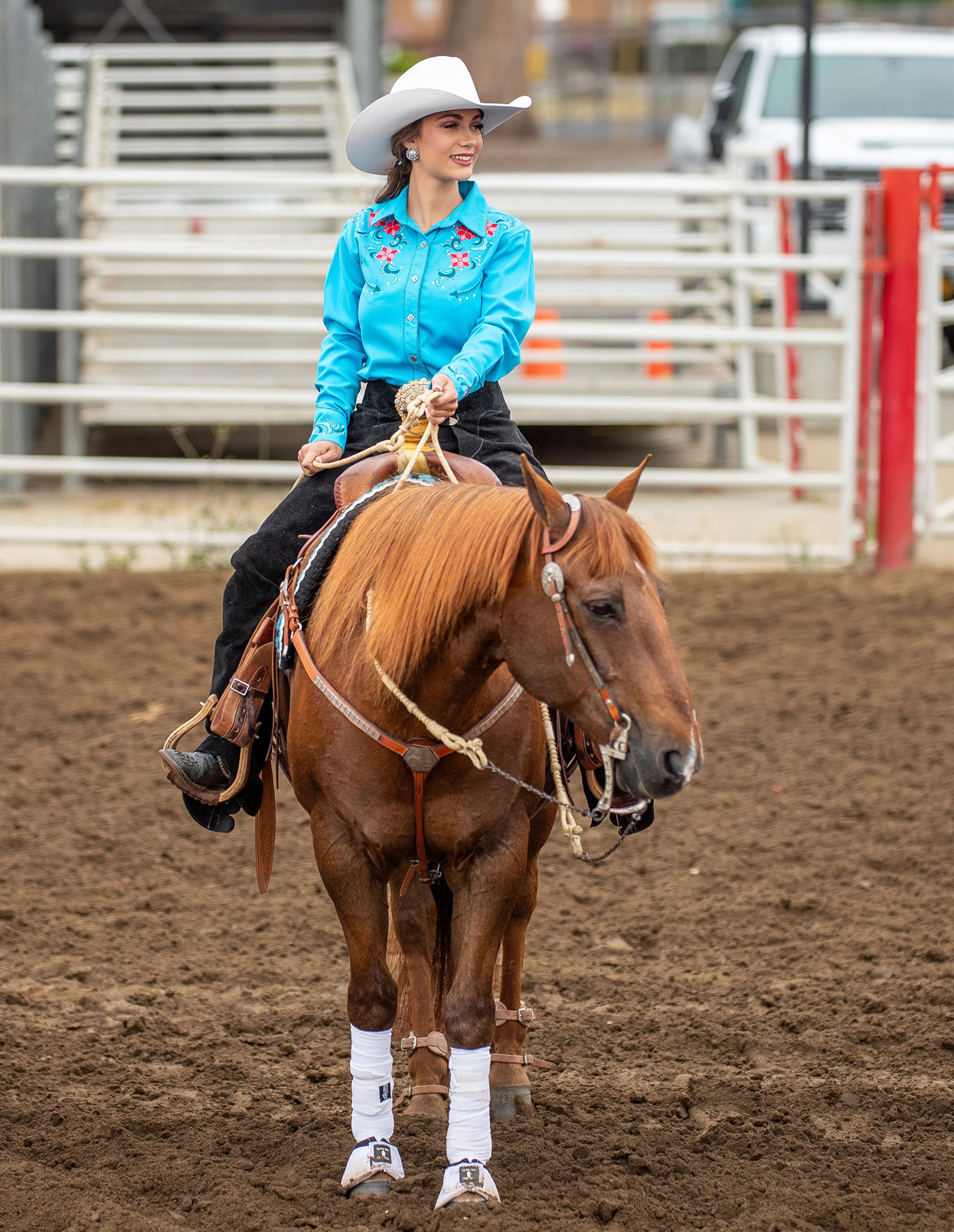 From horses to Merrill’s Thundering Herd: Rose Escobar shares love of ...