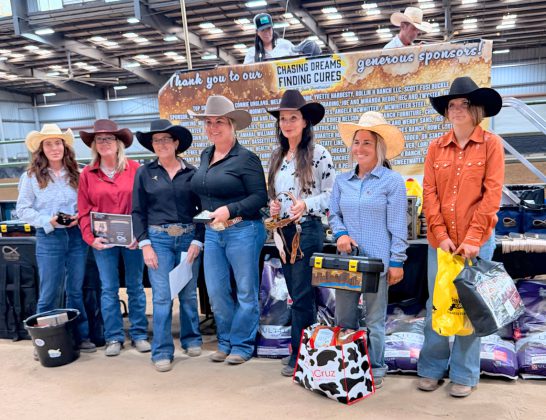 Chasing Dreams, Finding Cures Barrel Race marks 10th anniversary in ...