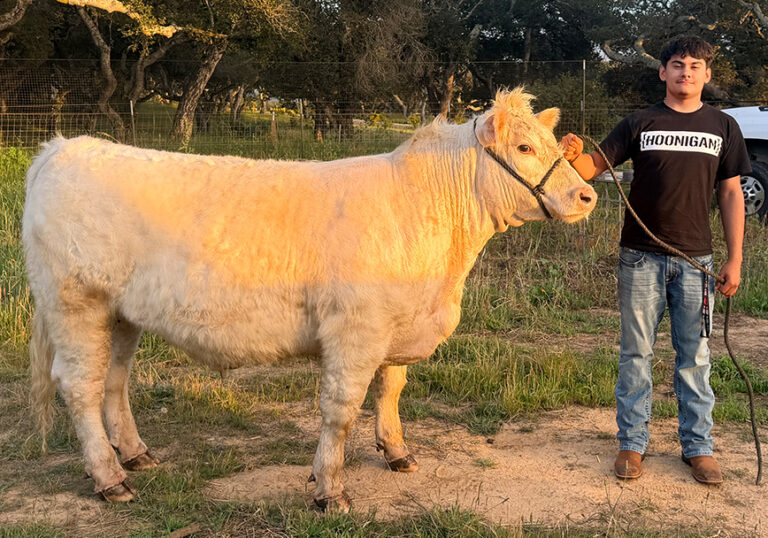 Photos | Salinas Valley Fair Edition 2026 | The King City Rustler ...