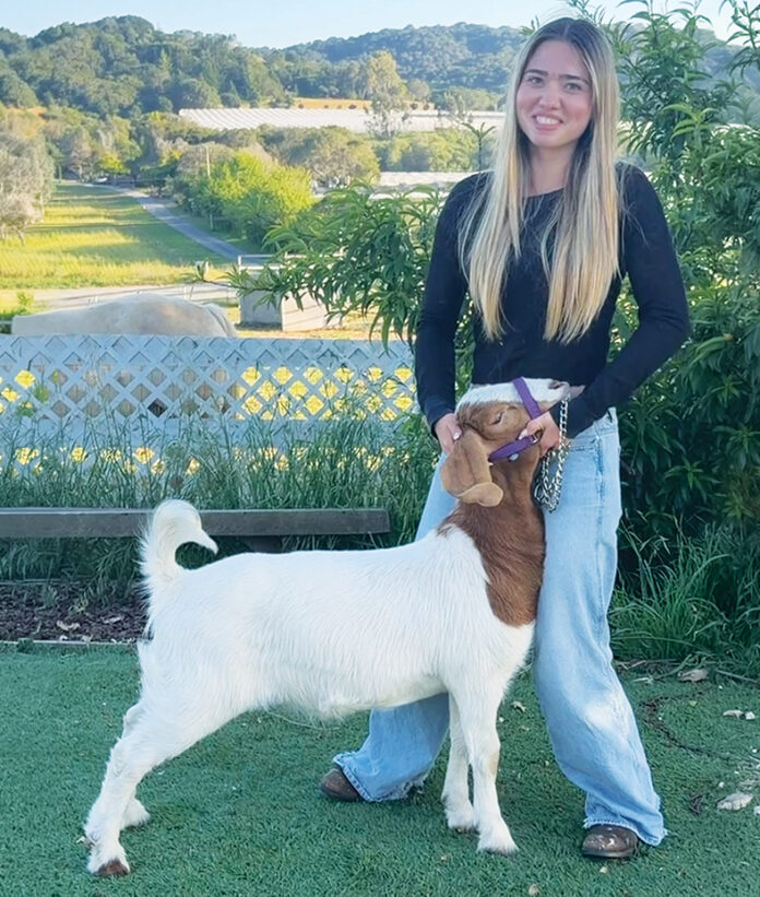 Photos | Salinas Valley Fair Edition 2026 | The King City Rustler ...