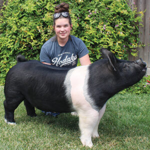Photos | Salinas Valley Fair Edition 2026 | The King City Rustler ...